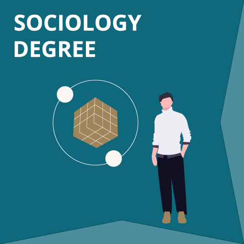 What Can You Do with a Sociology Degree? (2024)