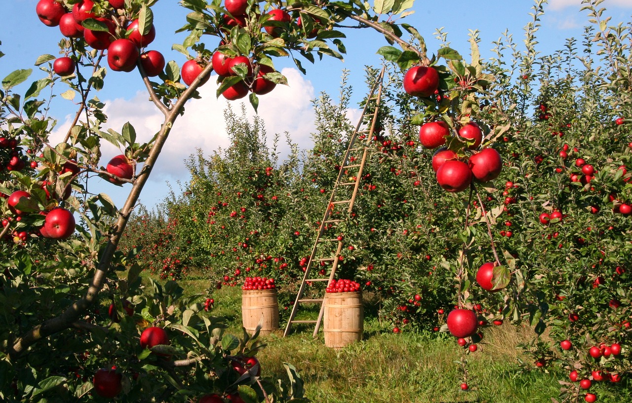 Nature Friendly Careers: 10 Best Jobs for Nature Enthusiasts