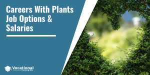 19 Careers With Plants: Job Options & Salaries