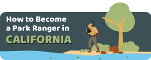 How to Become a Park Ranger in California (Training & Salary Info.)