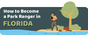 How to Become a Park Ranger in Florida (Training & Salary Info.)