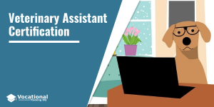 Veterinary Assistant Certification - Vocational Training