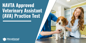 NAVTA Approved Veterinary Assistant (AVA) Practice Test - Vocational ...